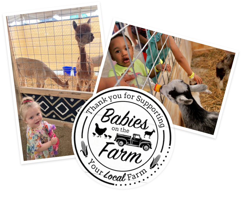 HOME - Jerry Smith Produce & Pumpkin Farm