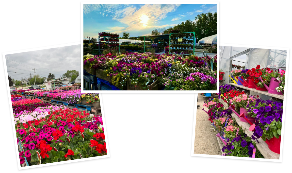 HOME - Jerry Smith Produce & Pumpkin Farm